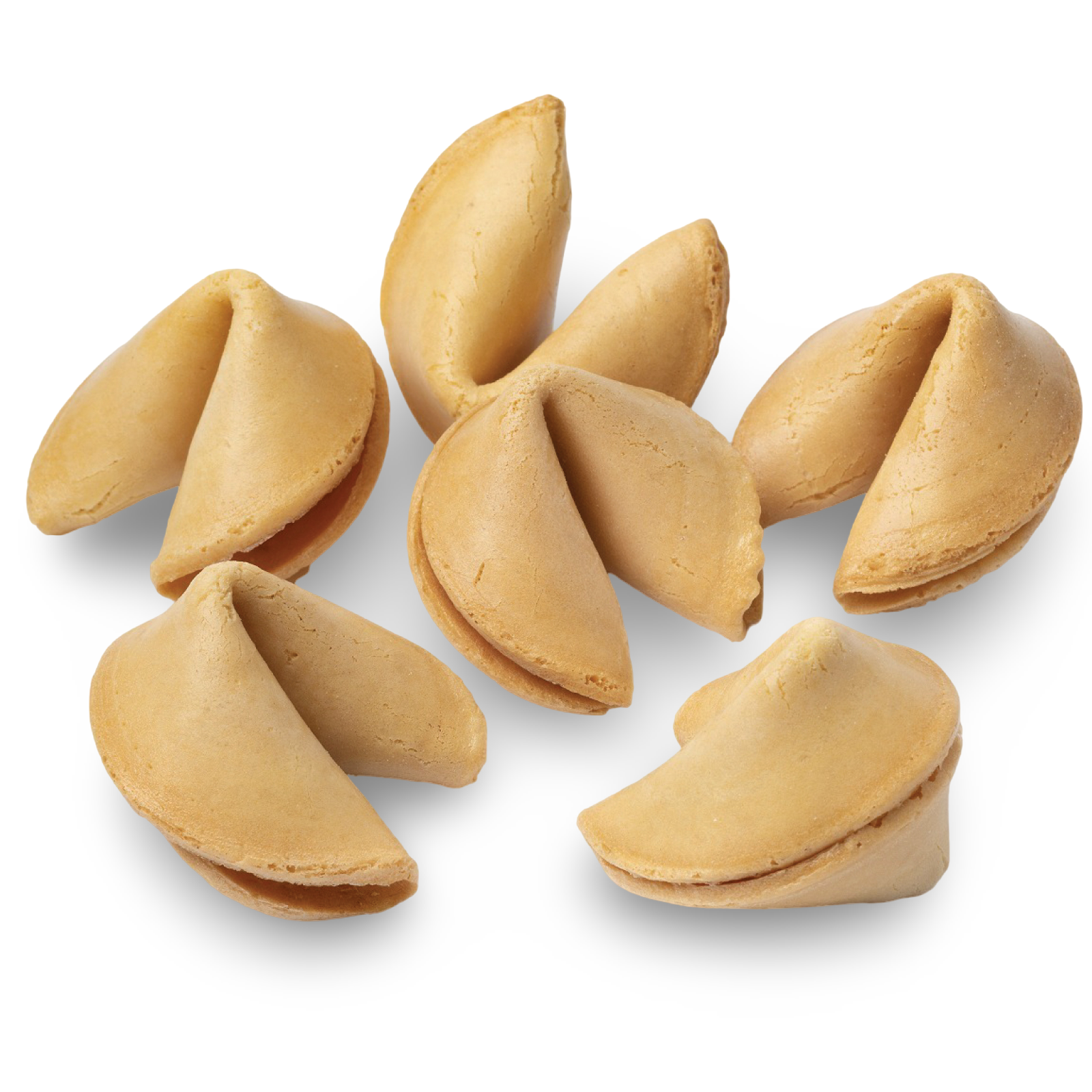 Plain Gourmet Vanilla Fortune Cookies- Single – Lady Fortunes Inc